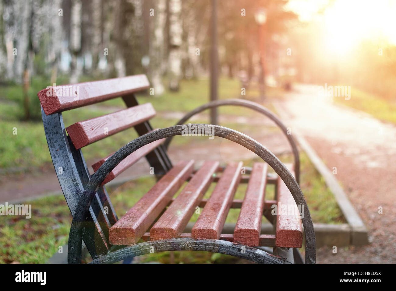 Sunset Park Bench Stock Photo - Alamy