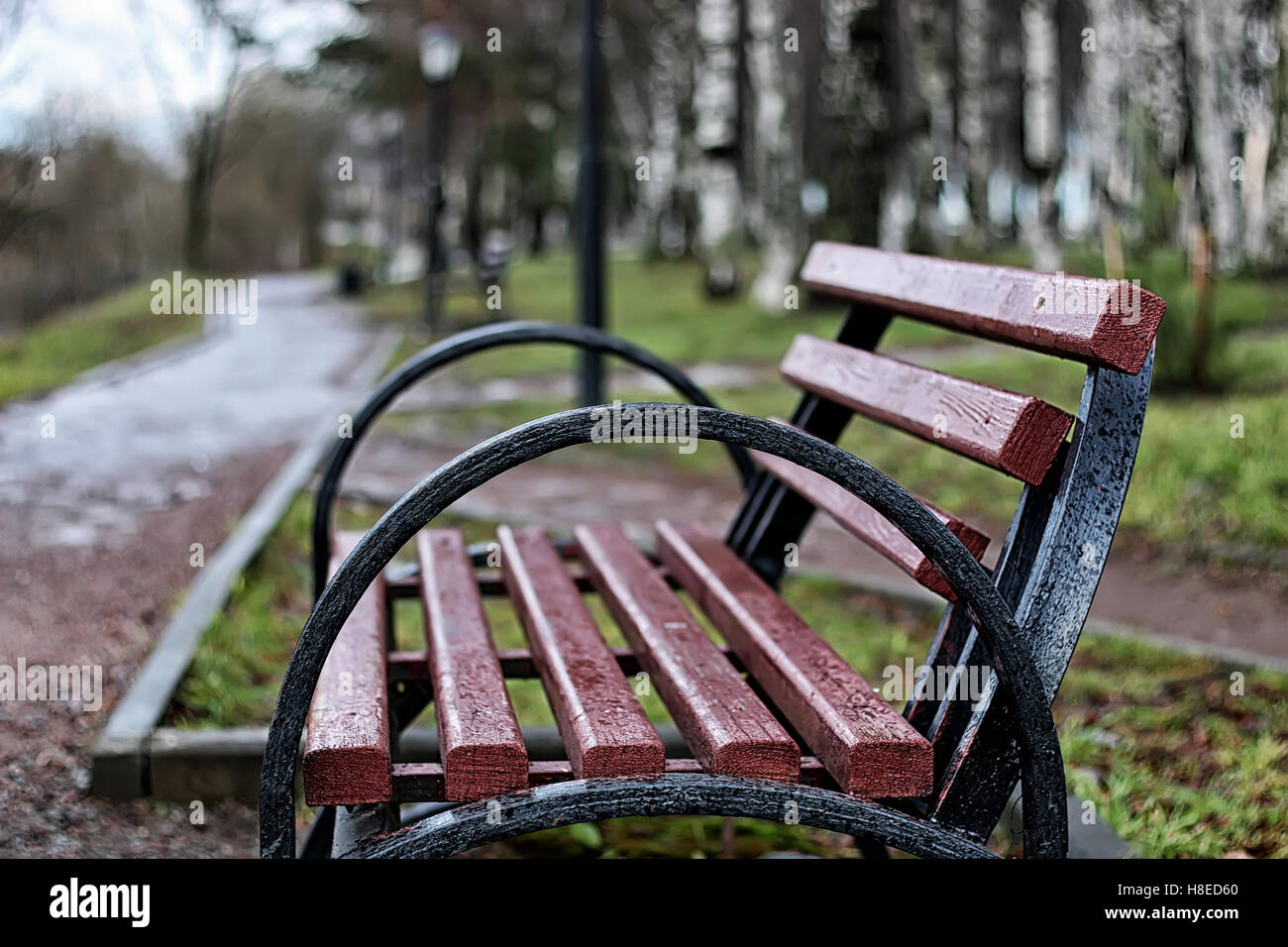 bench in the city in spring Stock Photo - Alamy