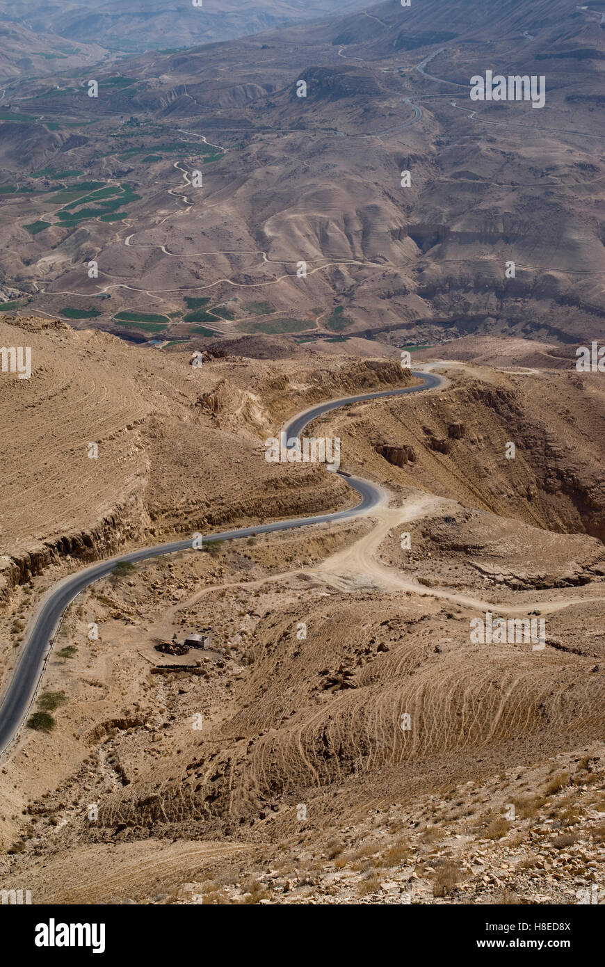 Al hasa hi-res stock photography and images - Alamy