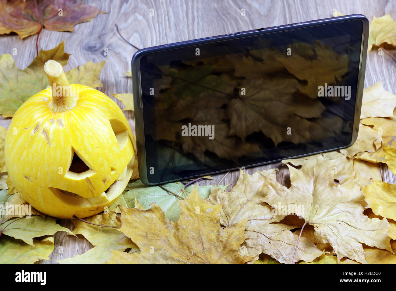 Halloween pumpkin and tablet Stock Photo - Alamy
