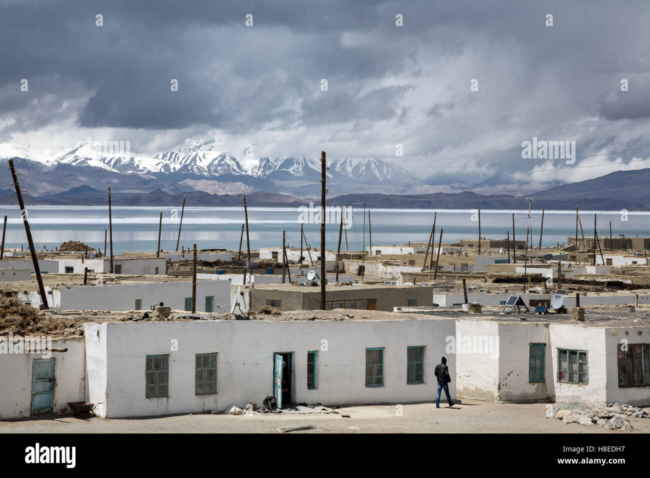 Karakul Stock Photos & Karakul Stock Images - Alamy
