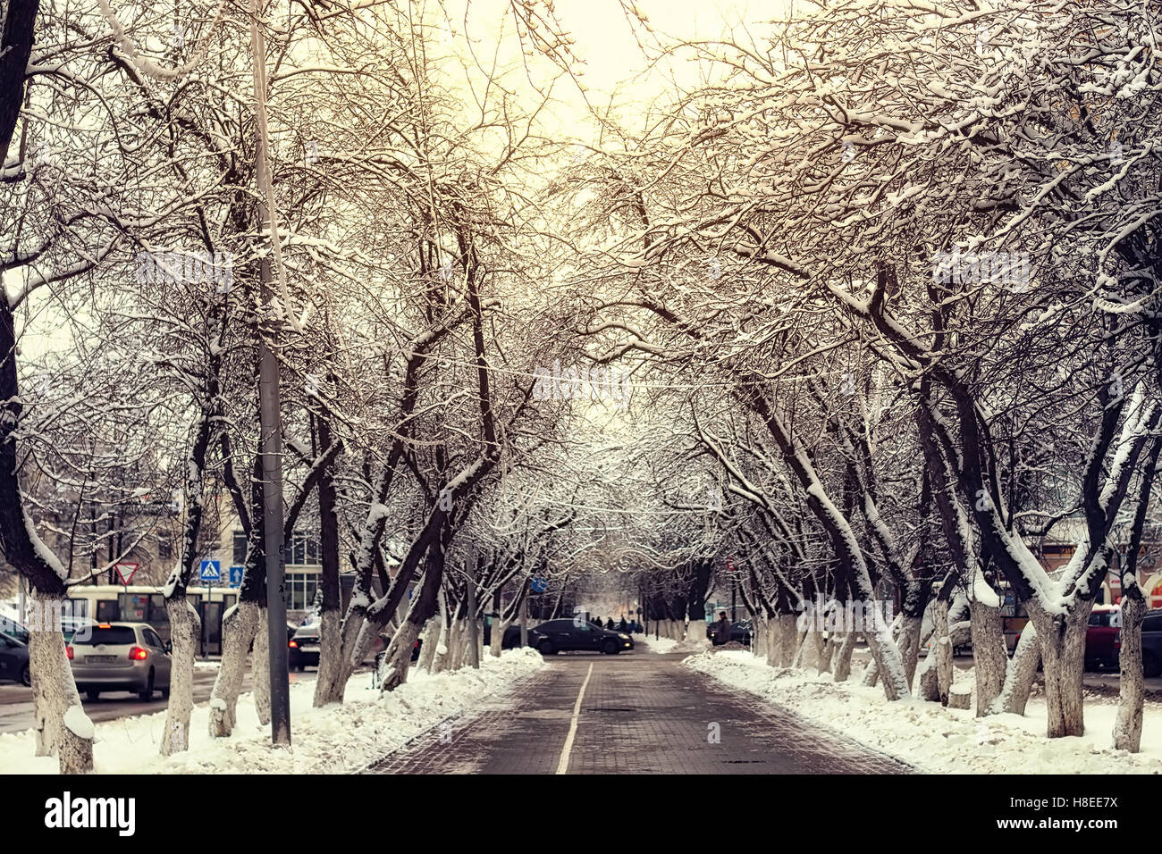 pedestrian pathway tree winter Stock Photo - Alamy