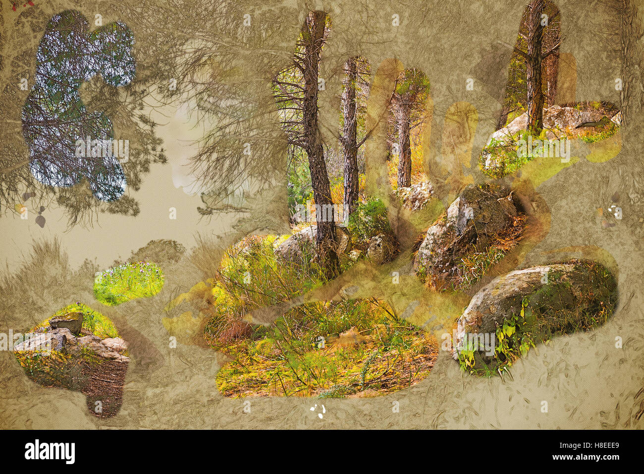 Landscape with trees and stones Stock Photo - Alamy