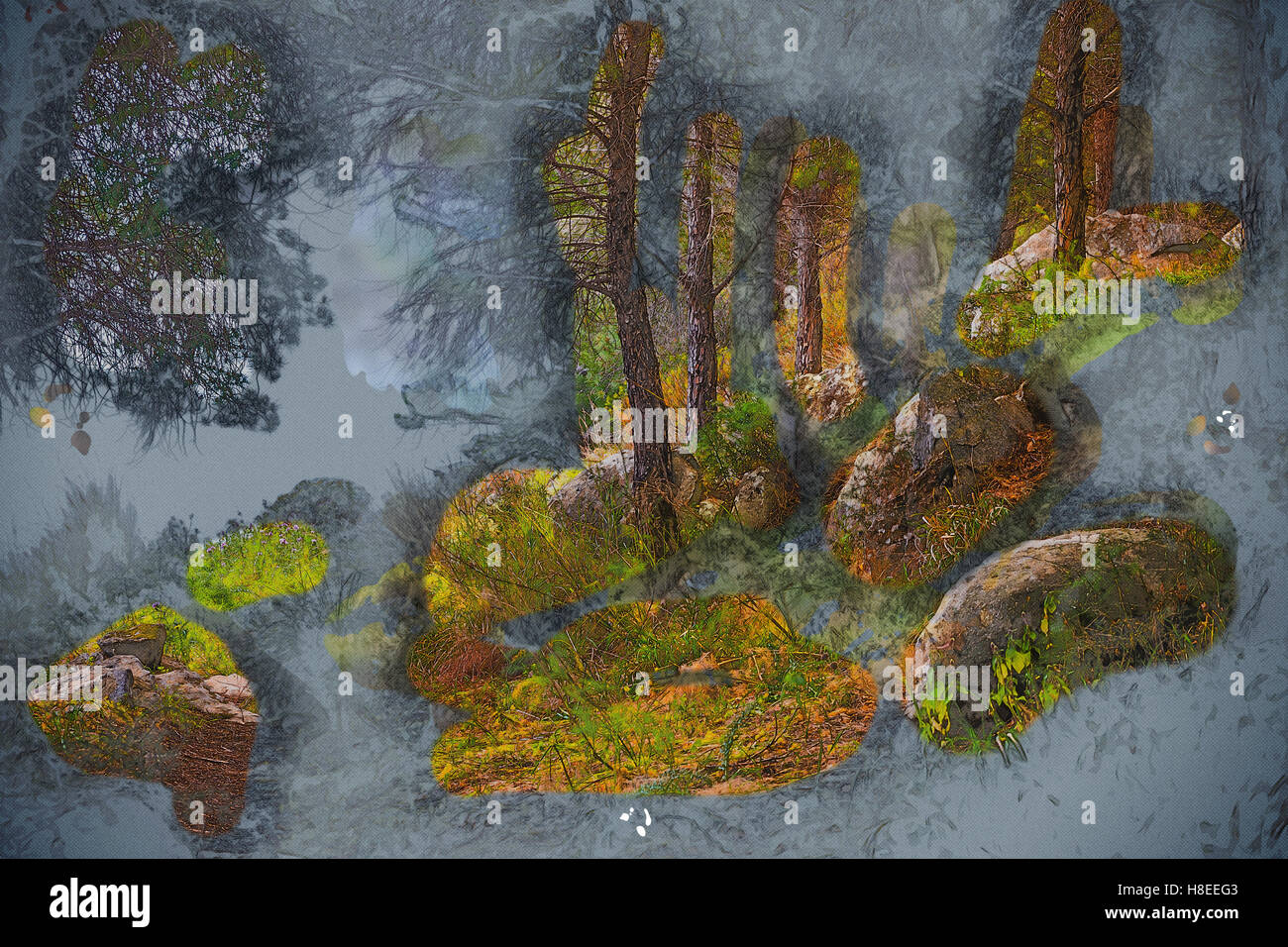 Landscape with trees and stones Stock Photo - Alamy