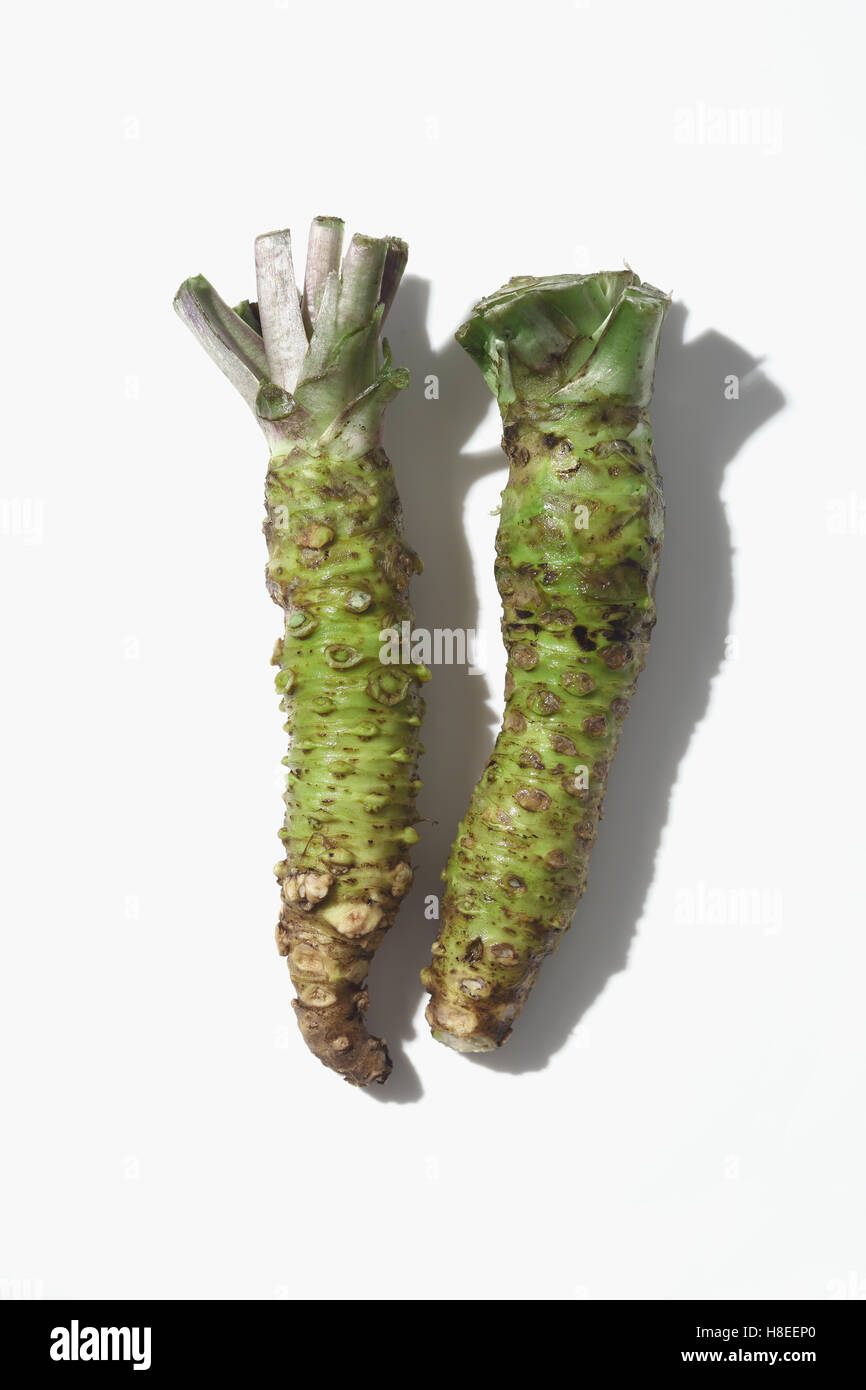 Wasabi root hi-res stock photography and images - Alamy