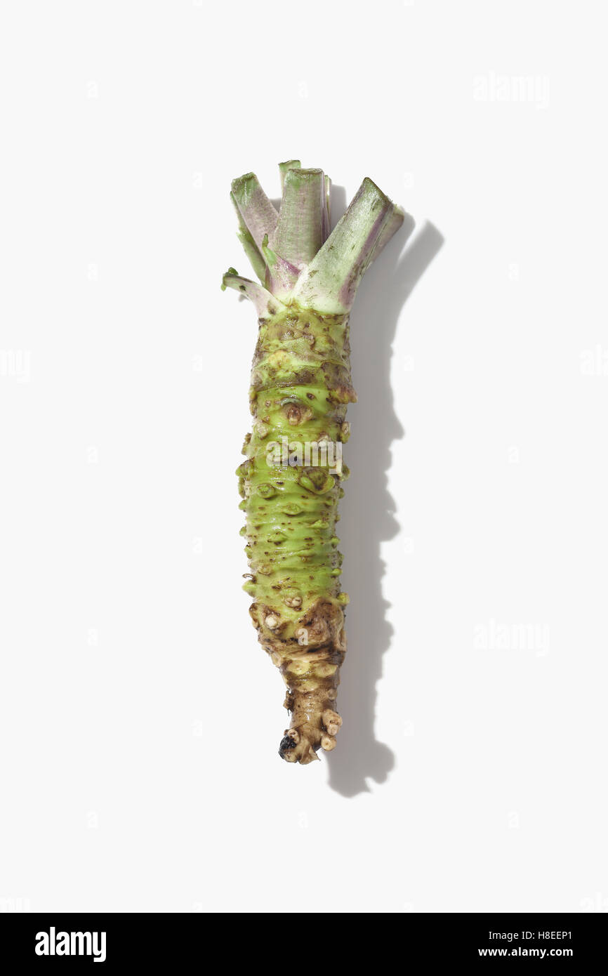 Wasabi plant hi-res stock photography and images - Alamy