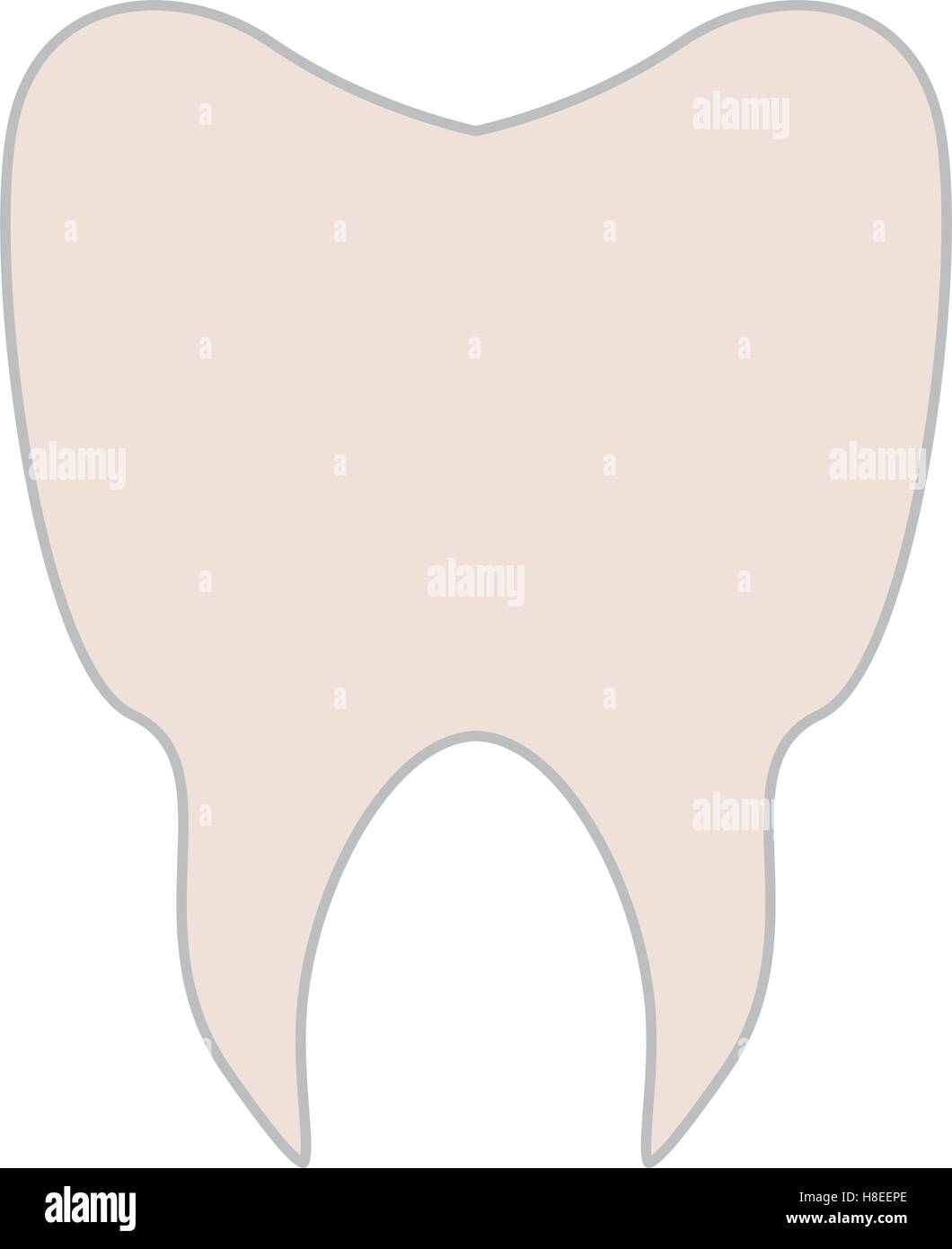 white tooth icon over white background. vector illustration Stock ...