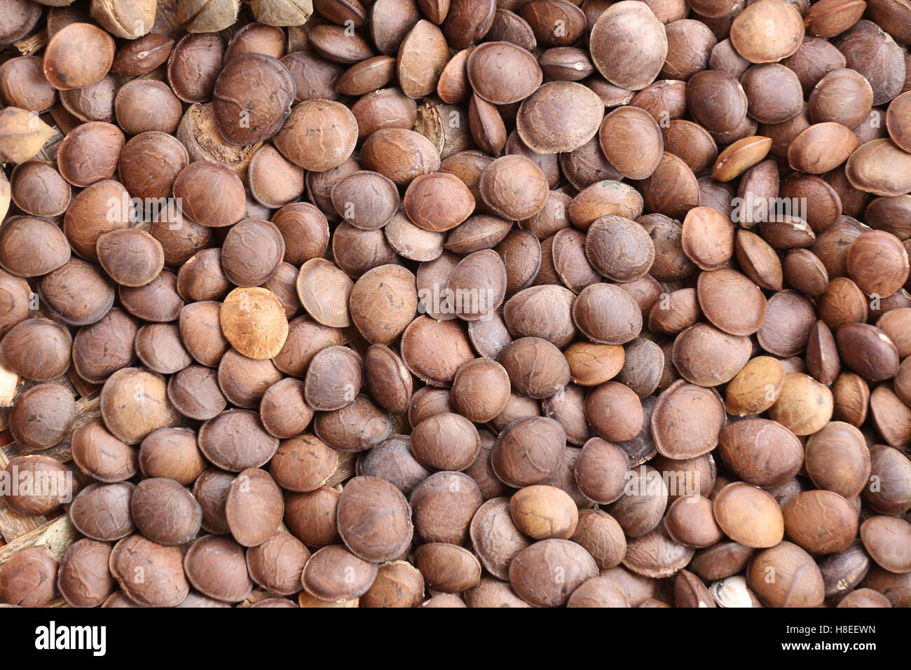 Sacha inchi seed inca hi-res stock photography and images - Alamy