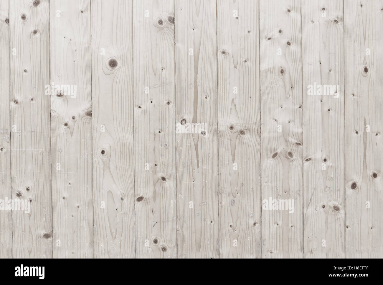 White wood texture background,walls of the interior for design Stock ...
