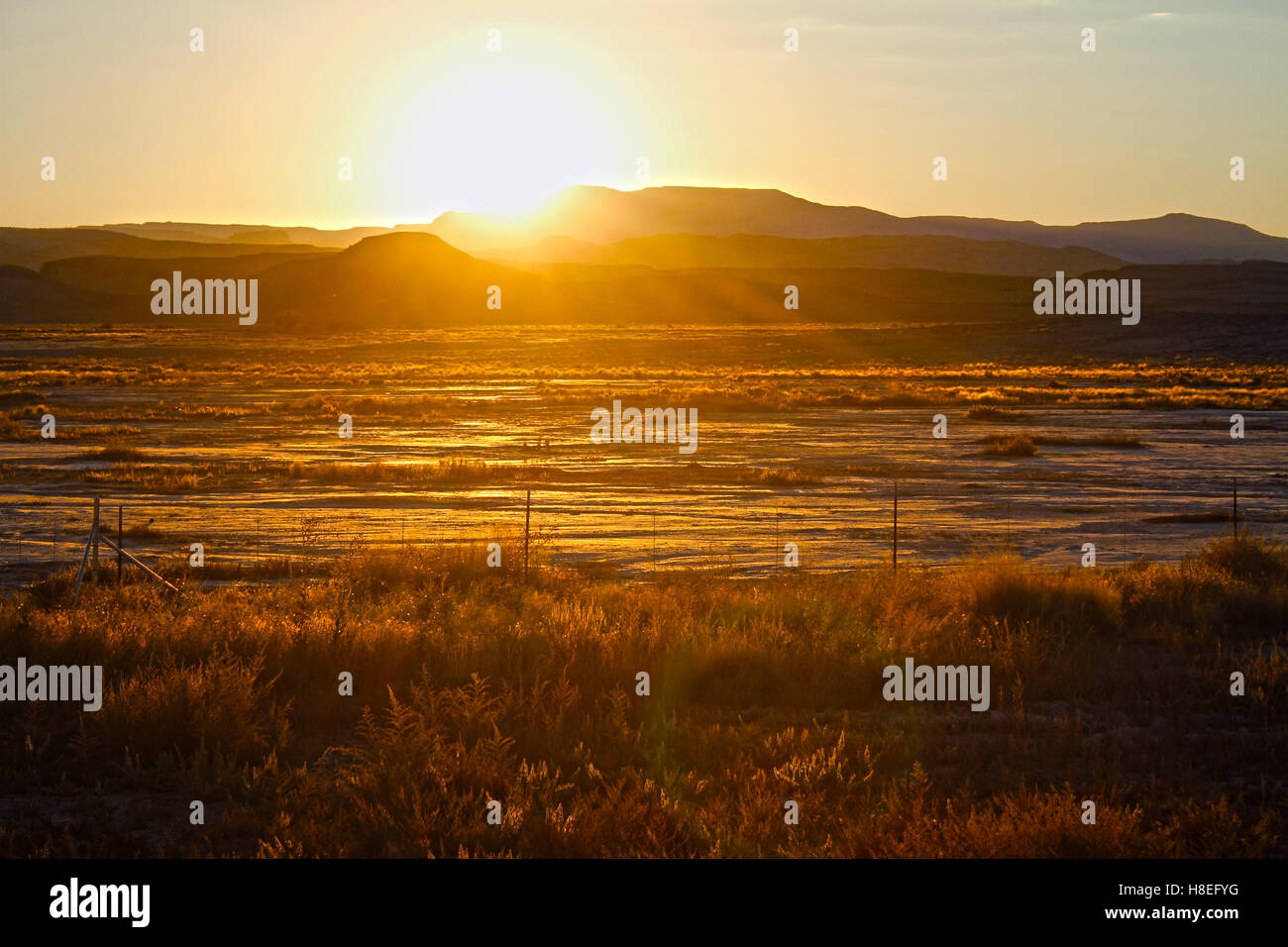 Utah dessert hi-res stock photography and images - Alamy