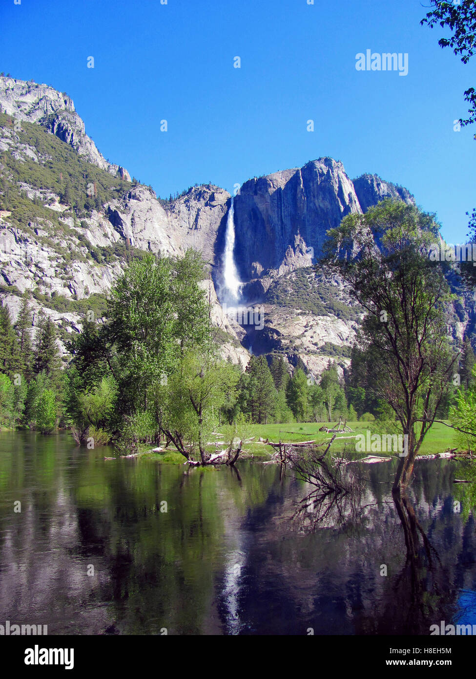Yosemite National Park, Upper Yosemite Fall and Merced river Stock ...