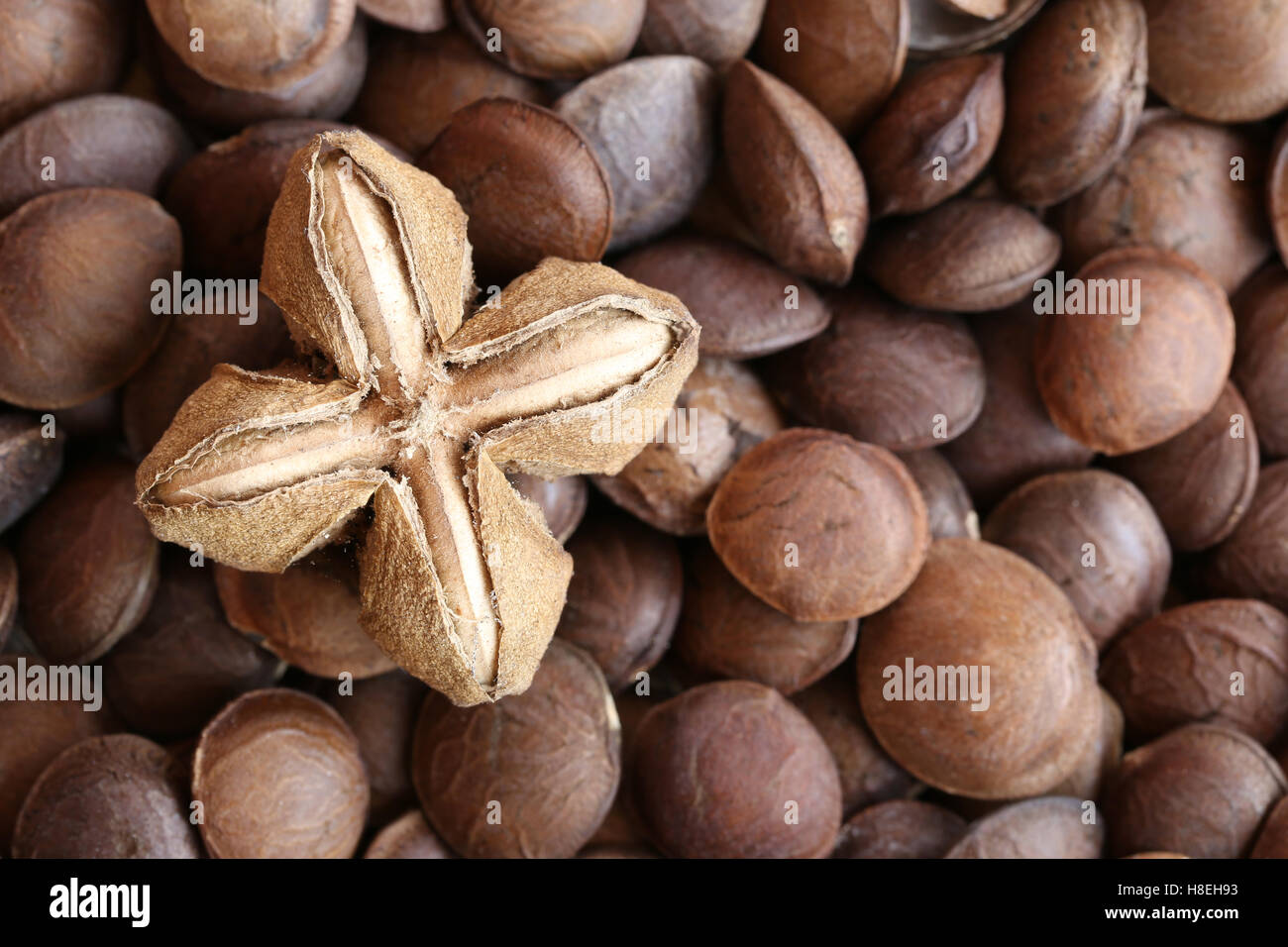 Sacha inchi seed inca hi-res stock photography and images - Alamy