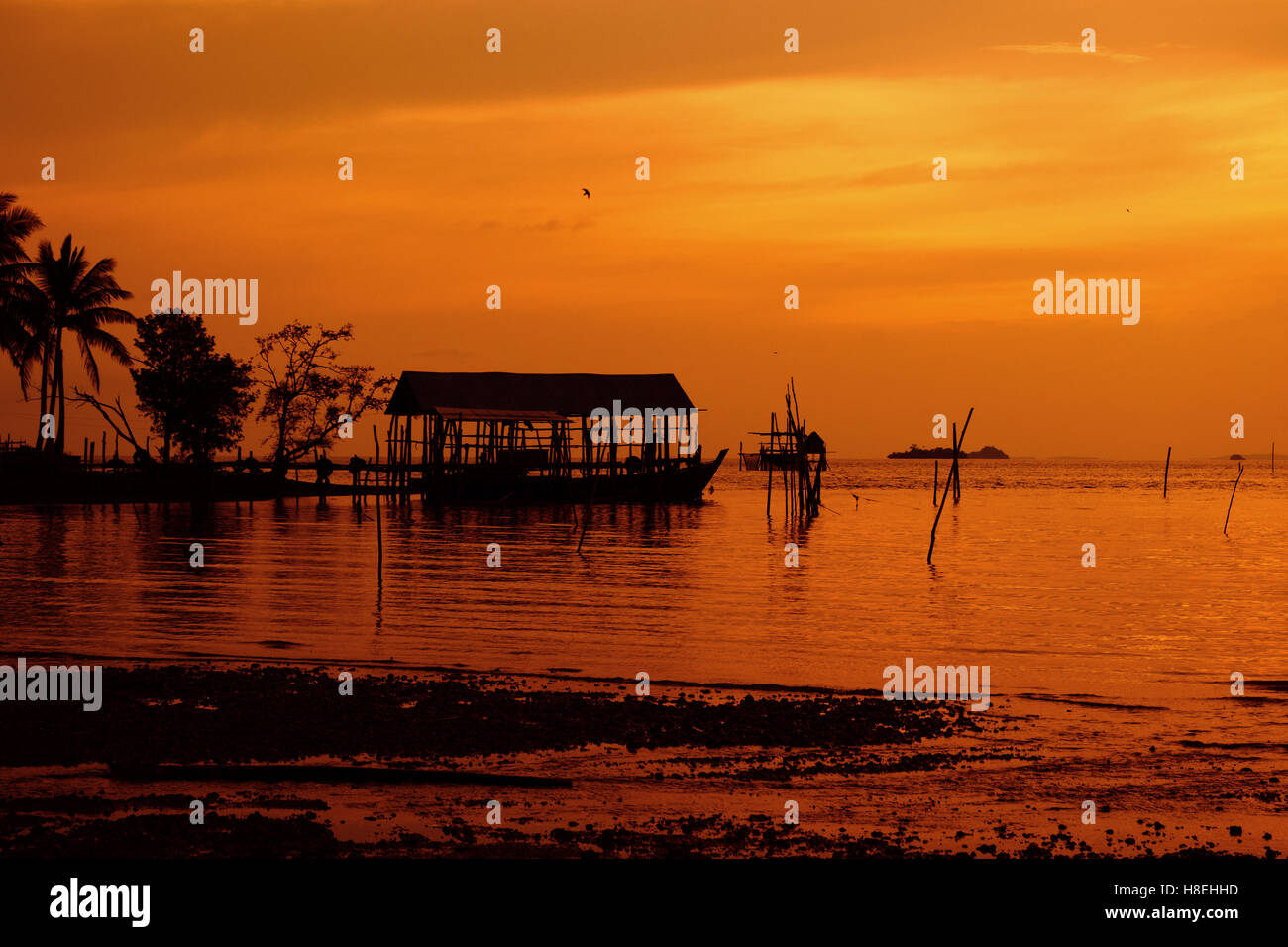 scenic beach golden sunset collection Batu Licin area at Bintan Island ...