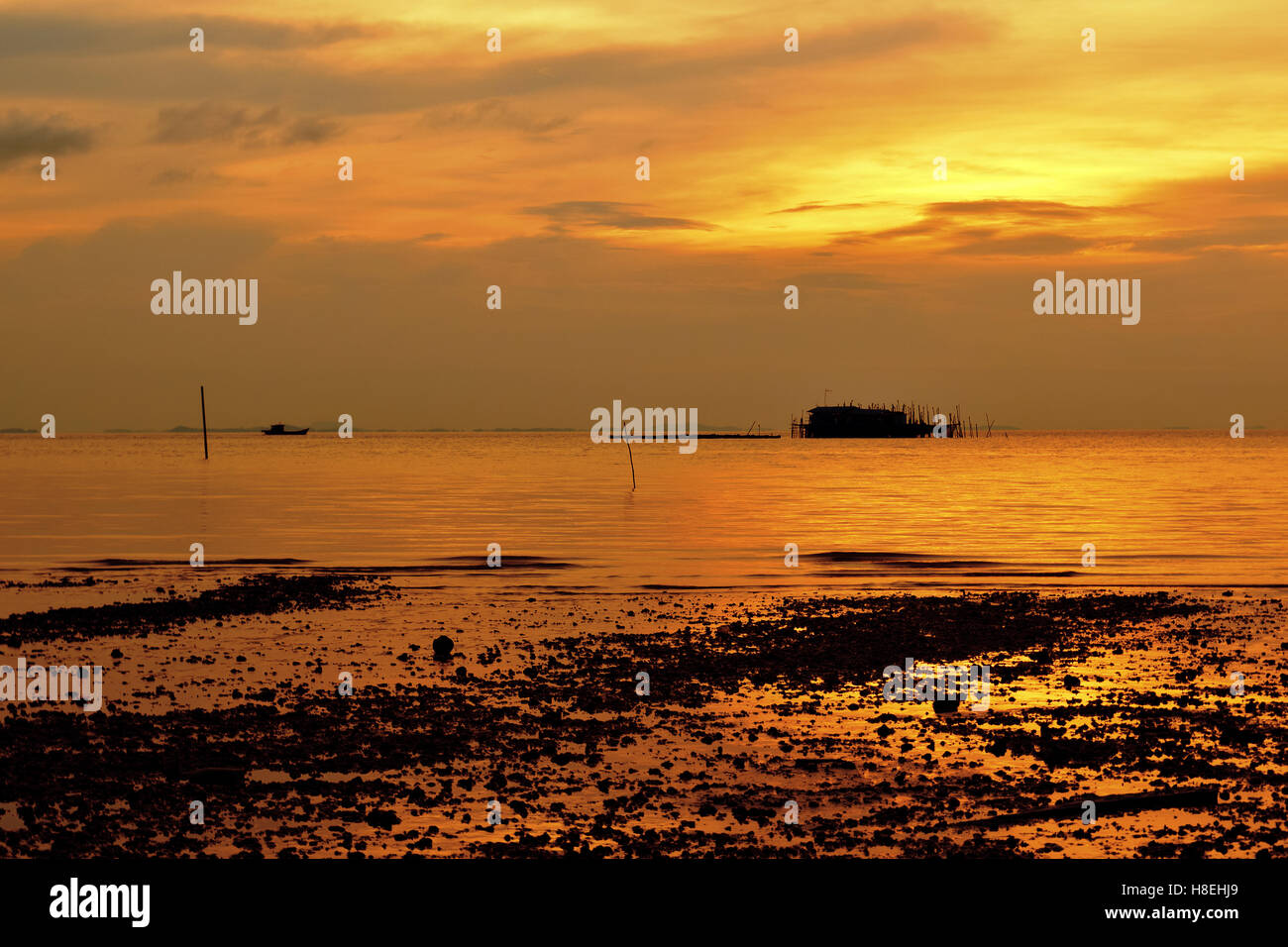 scenic beach golden sunset collection Batu Licin area at Bintan Island ...