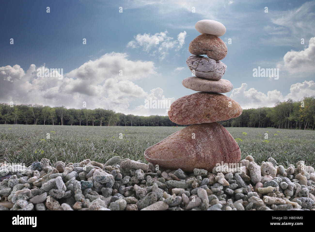 Balance stone on pile rock with agricultural area background for ...