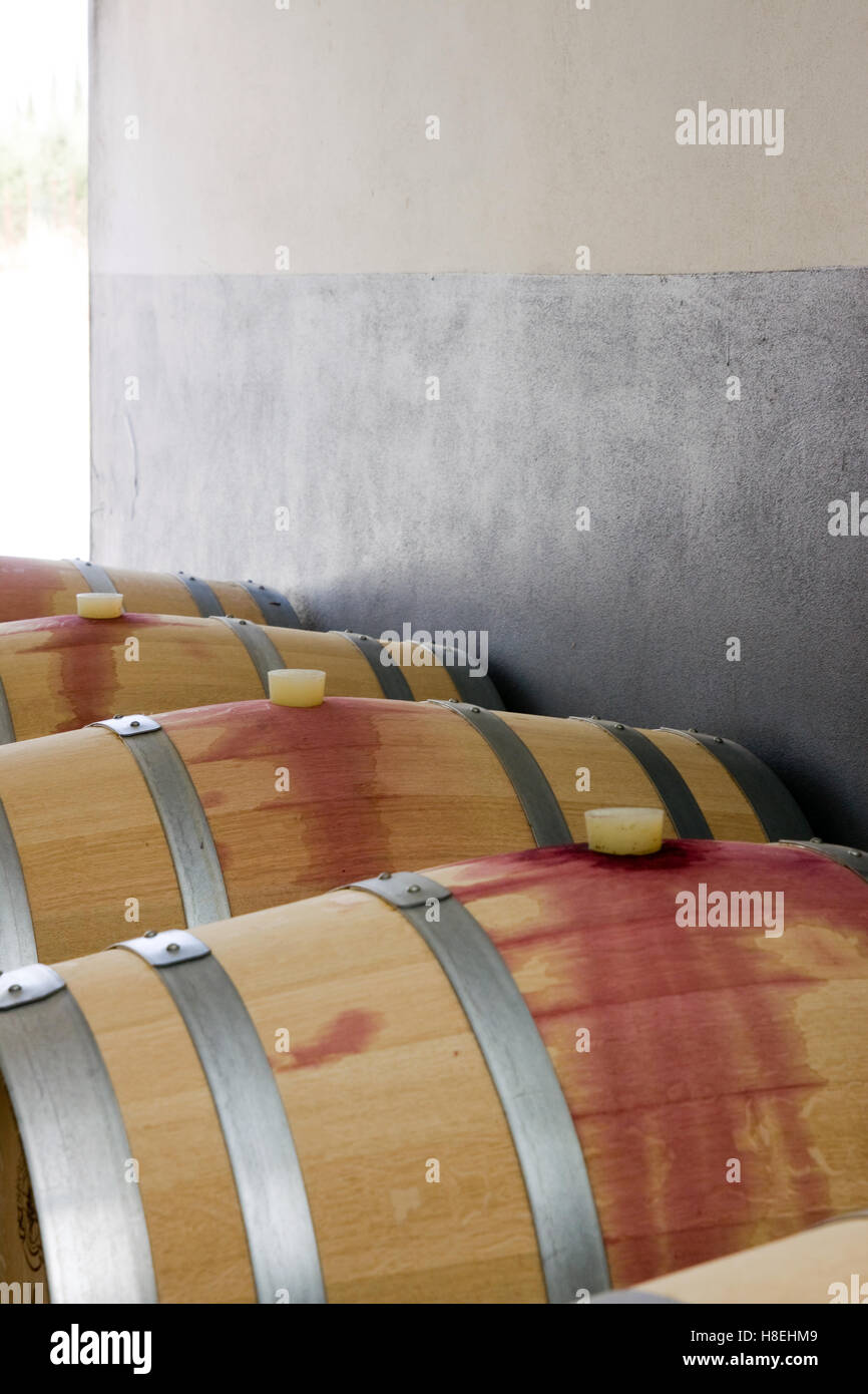 enologist working in a wine cellar Stock Photo - Alamy