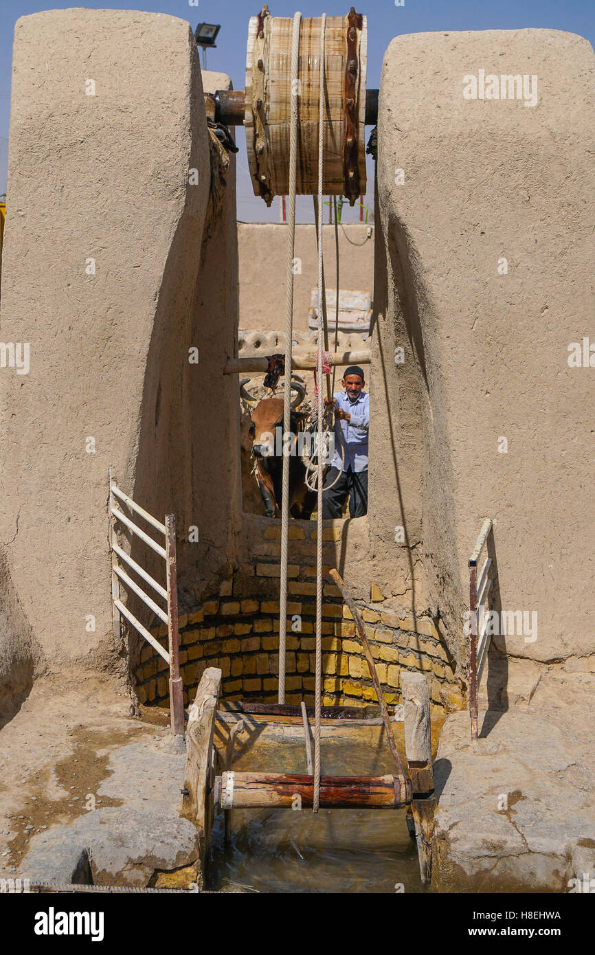 Man and bull draw water from their well, Varzaneh, Iran, Middle East ...