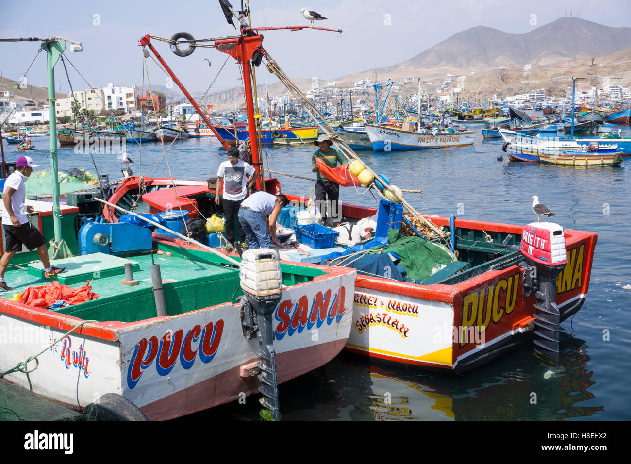 Pucusana hi-res stock photography and images - Alamy