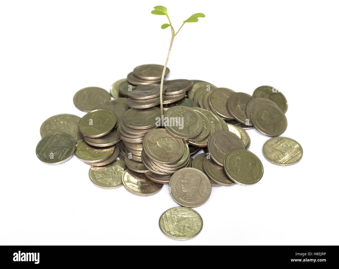 plant on pile of coin Stock Photo - Alamy