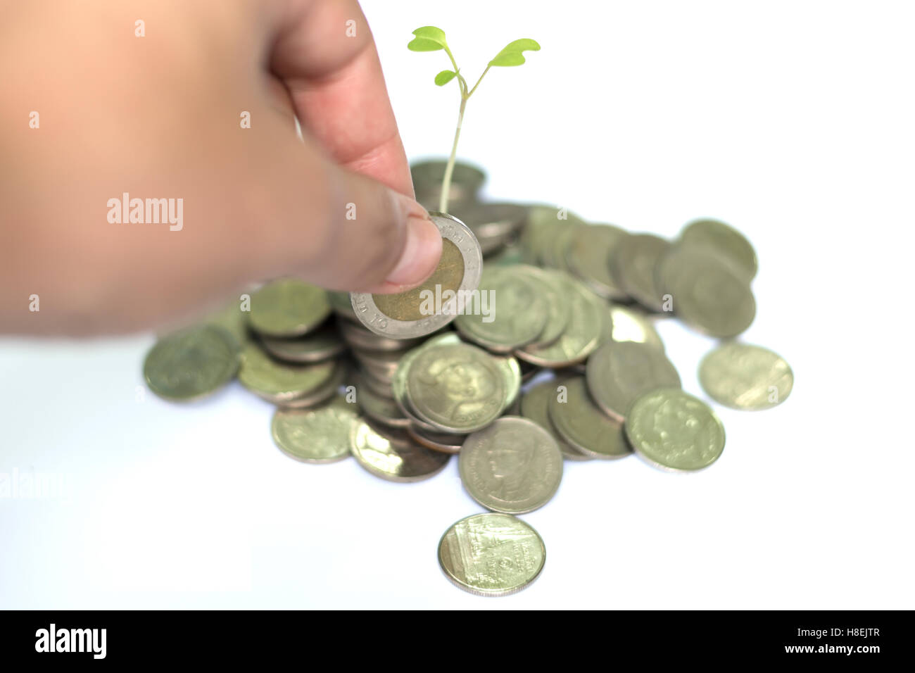 Green leaf background hand put hi-res stock photography and images - Alamy