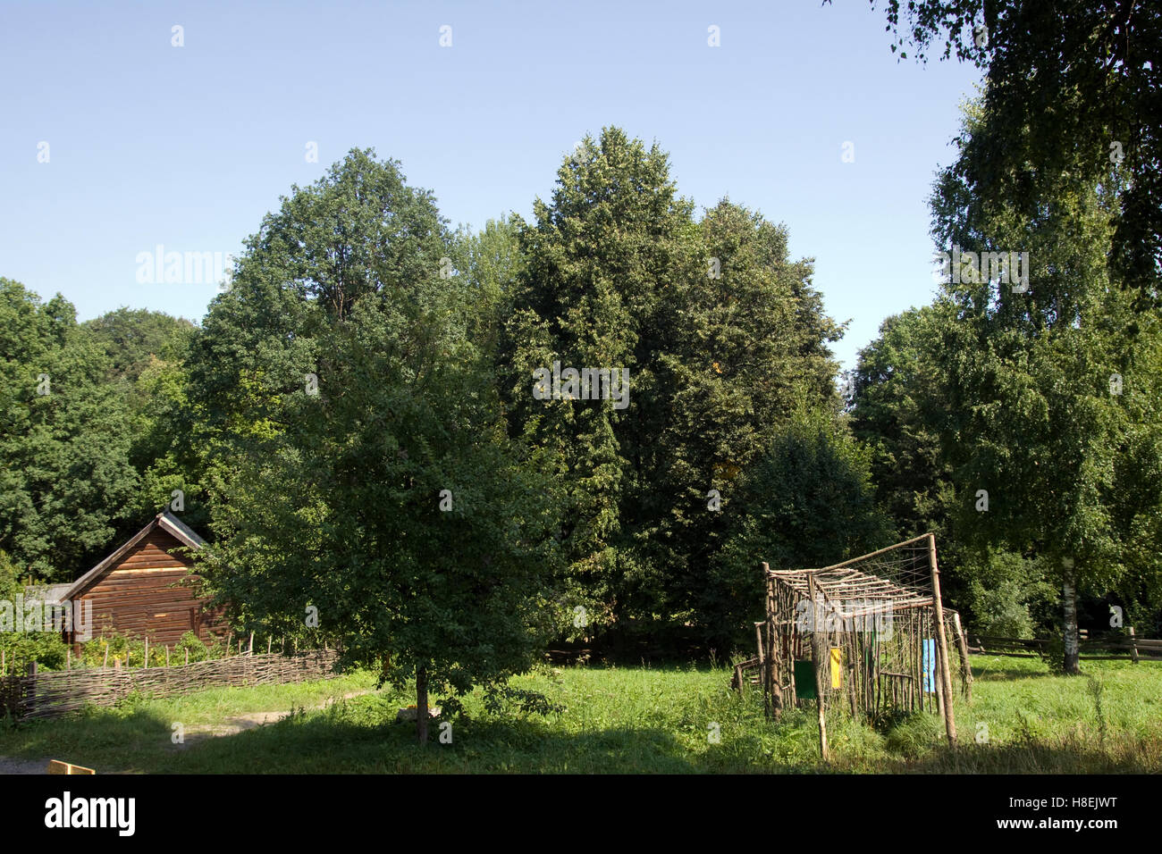 nature in a country side of europe Stock Photo - Alamy