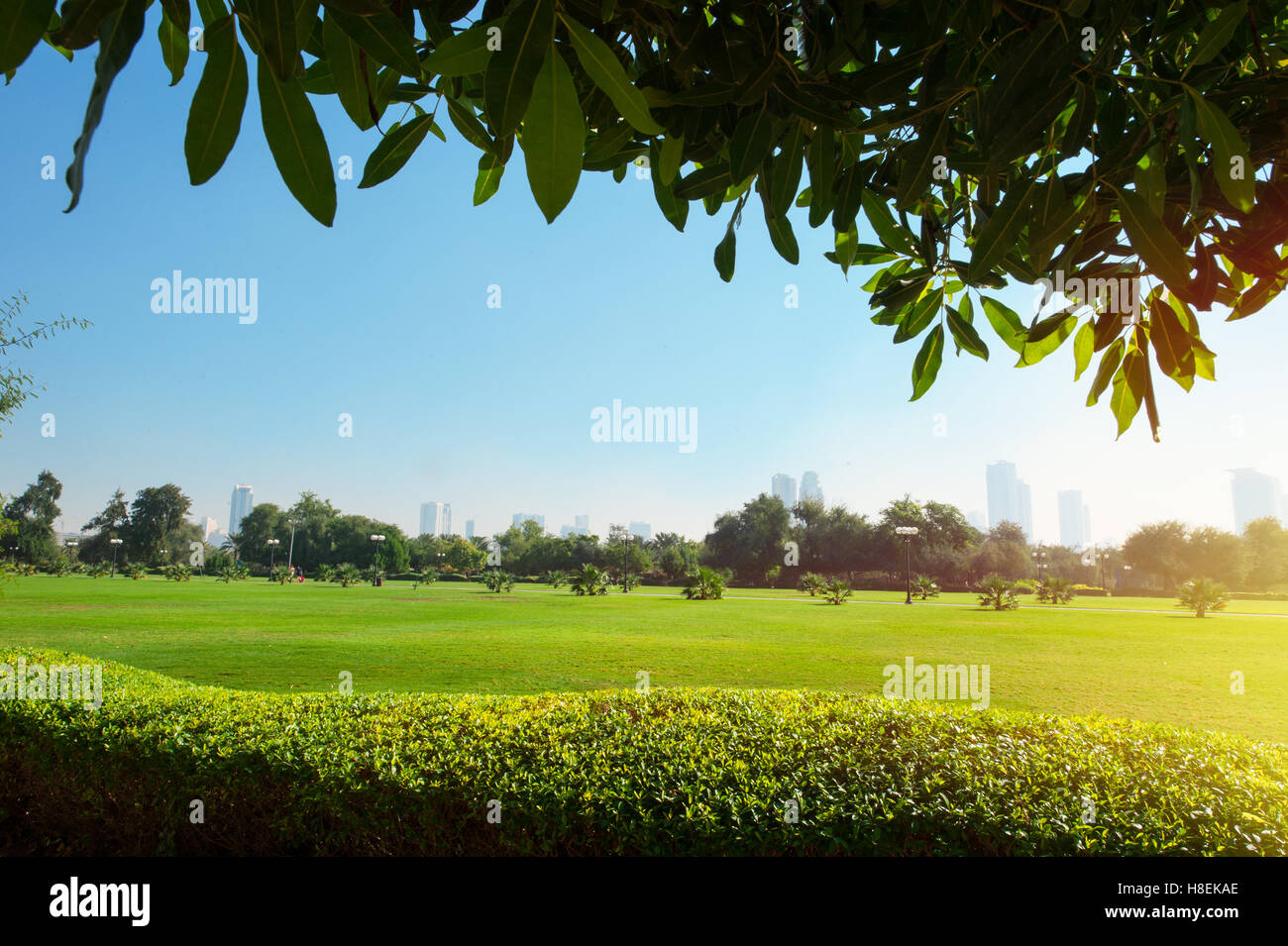 Landscaping planning hi-res stock photography and images - Alamy