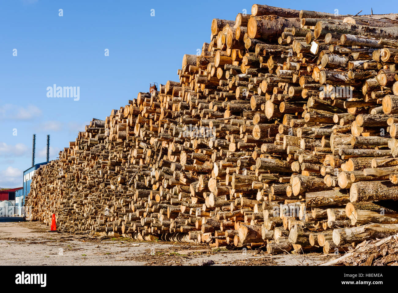 Large stack of timber with chimney in background. This timber is for ...