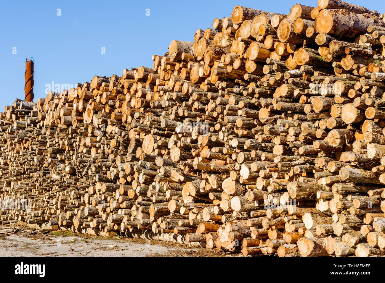 Large stack of timber with chimney in background. This timber is for ...