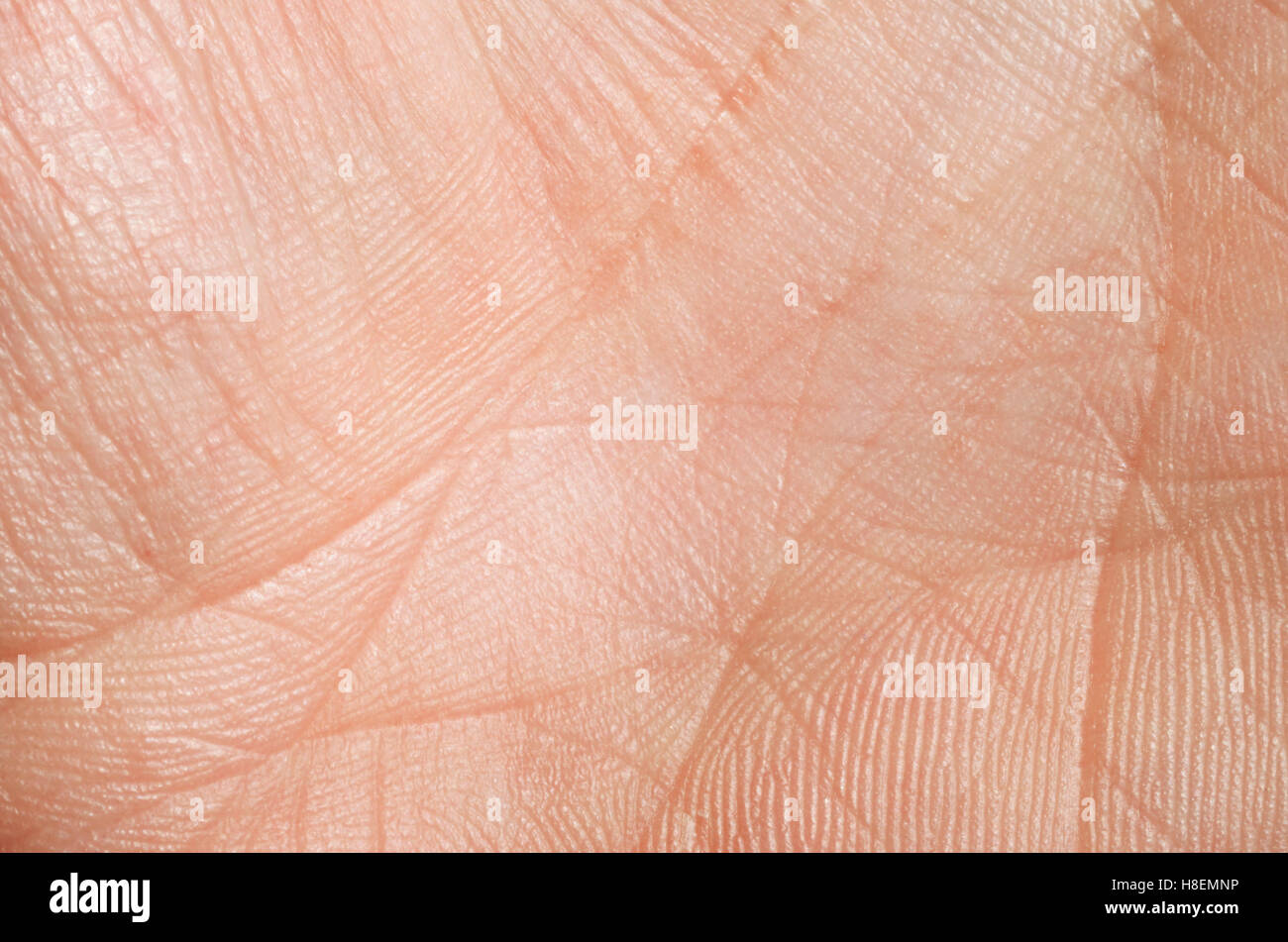 Macro of human Skin of Hand palm background Stock Photo - Alamy