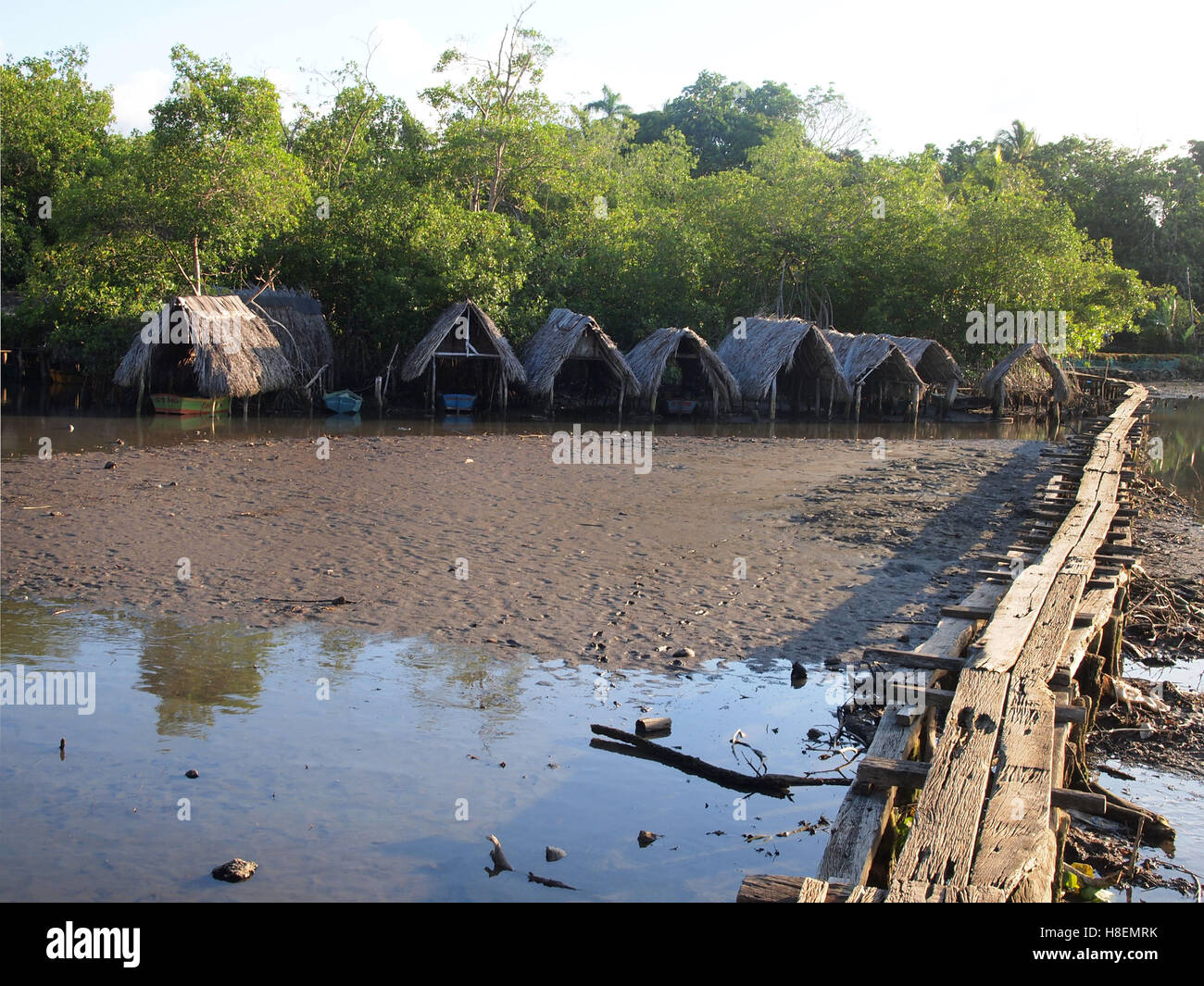 Rio Miel bridge, part of Alejandro de Humboldt National Park, Baracoa ...