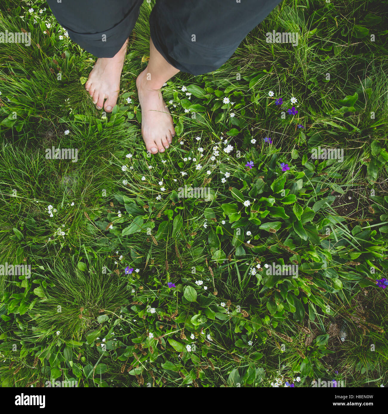 Feet on the grass hi-res stock photography and images - Alamy