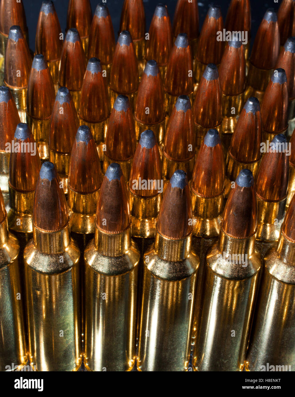 Rifle cartridges that are long and tall for added gun powder Stock ...