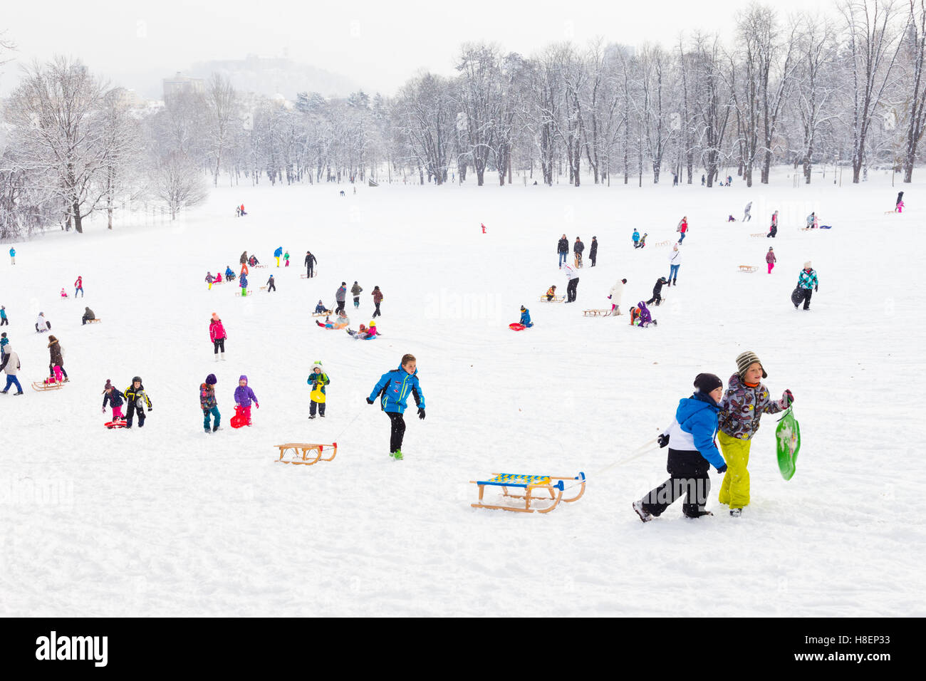 Winter fun, snow, family sledding at winter time Stock Photo - Alamy
