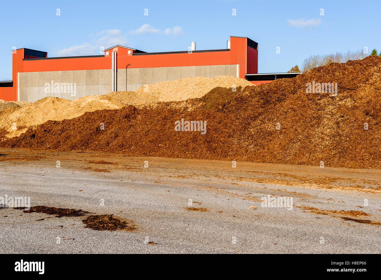 Large pile of biomass solid fuel in the form of medium sized wood chips ...