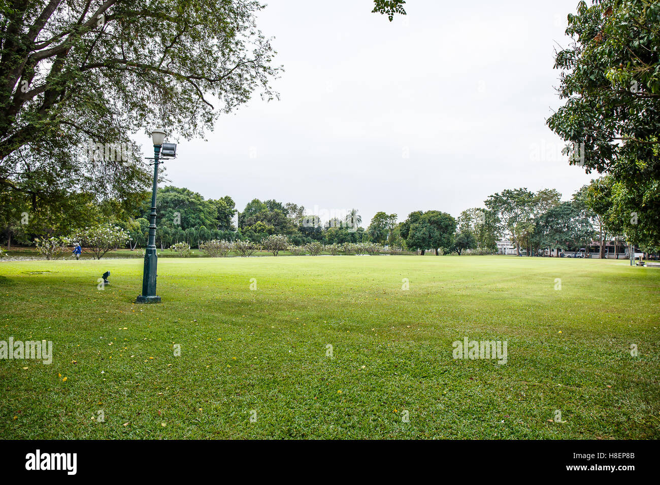 Lawn with blue sky Stock Photo - Alamy