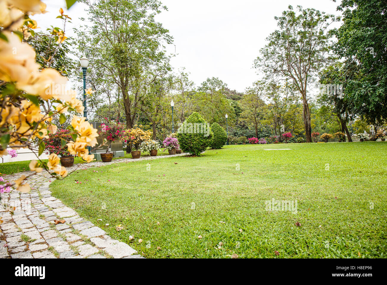 Lawn with blue sky Stock Photo - Alamy