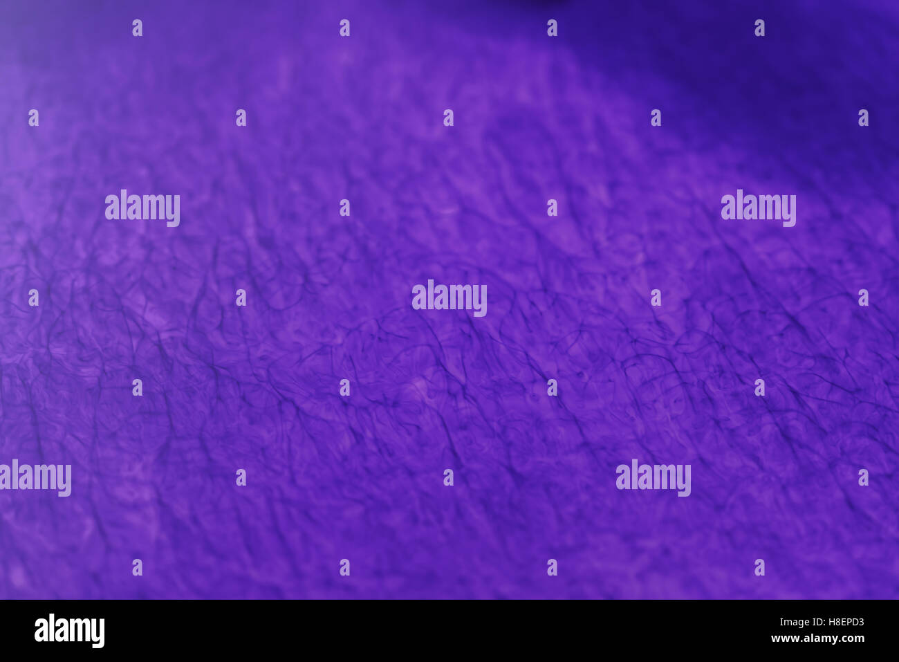 Dark purple water hi-res stock photography and images - Alamy