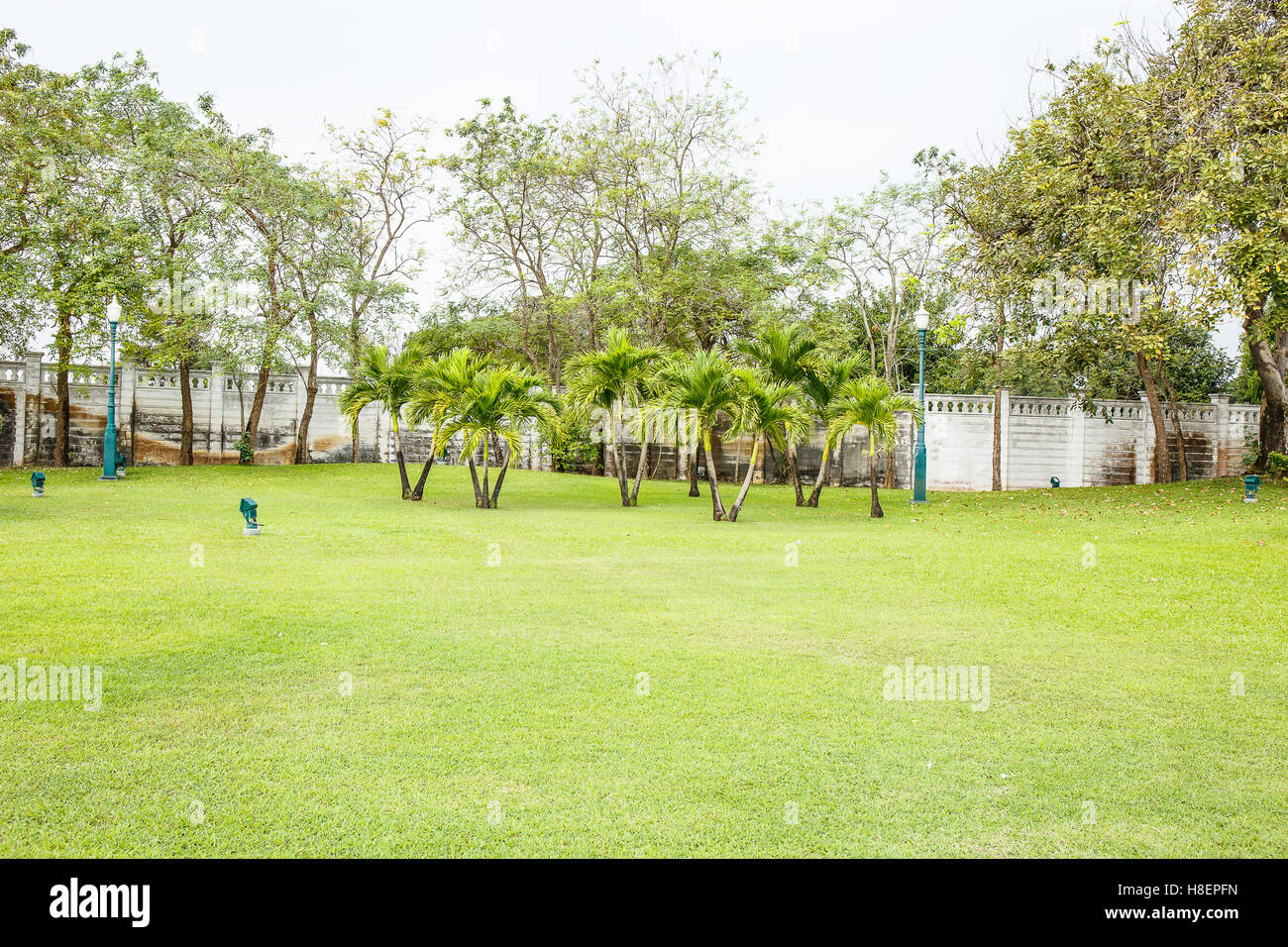 Lawn with blue sky Stock Photo - Alamy
