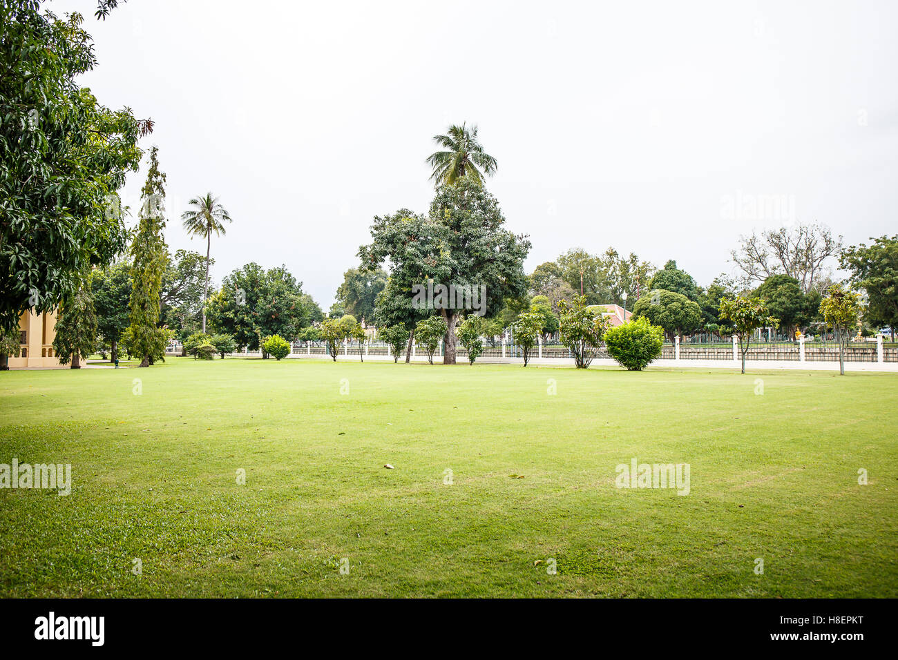 Lawn with blue sky Stock Photo - Alamy