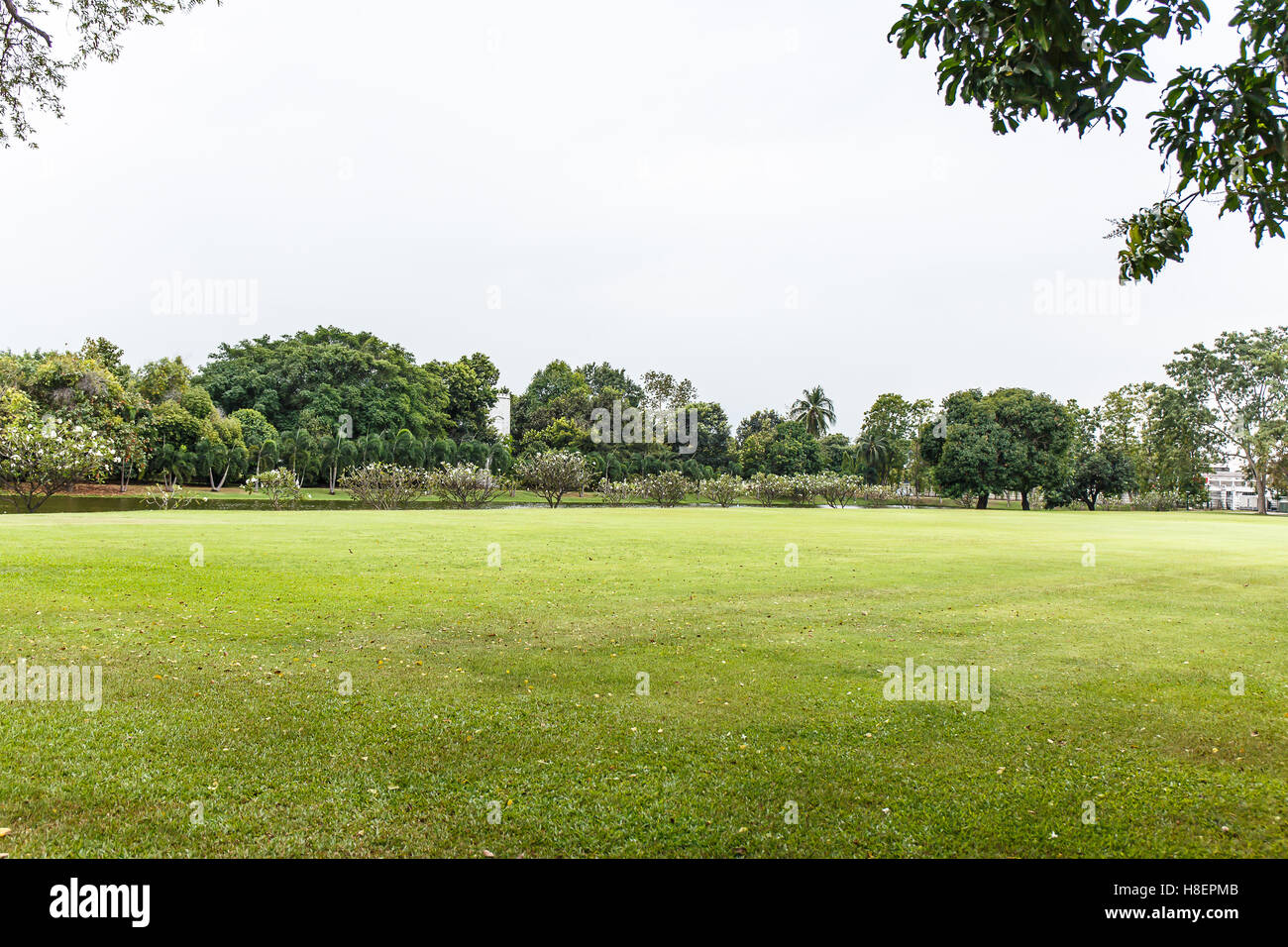 Lawn with blue sky Stock Photo - Alamy