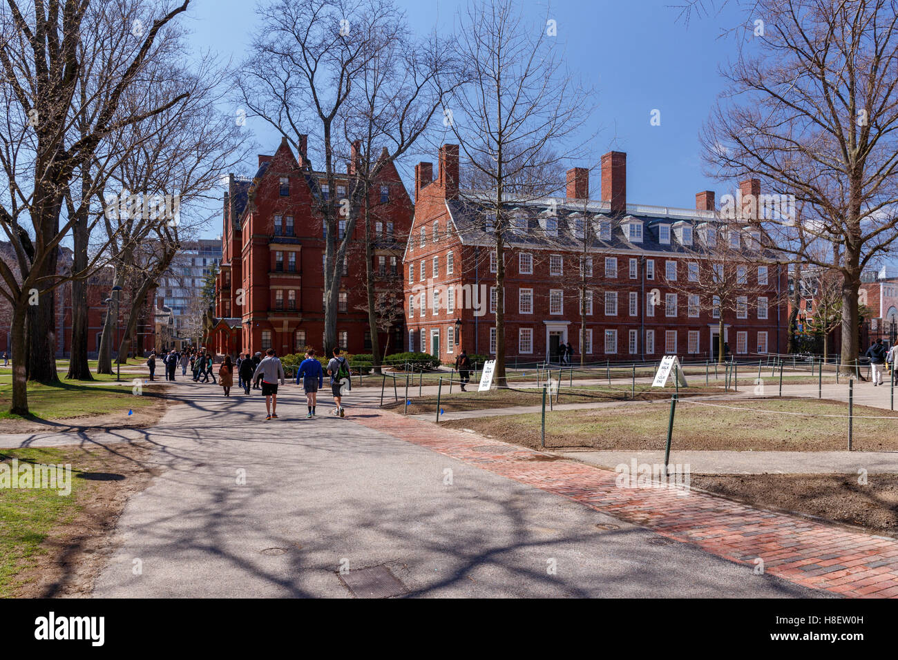 Life in Harvard Yard, historic heart of the campus of Harvard ...