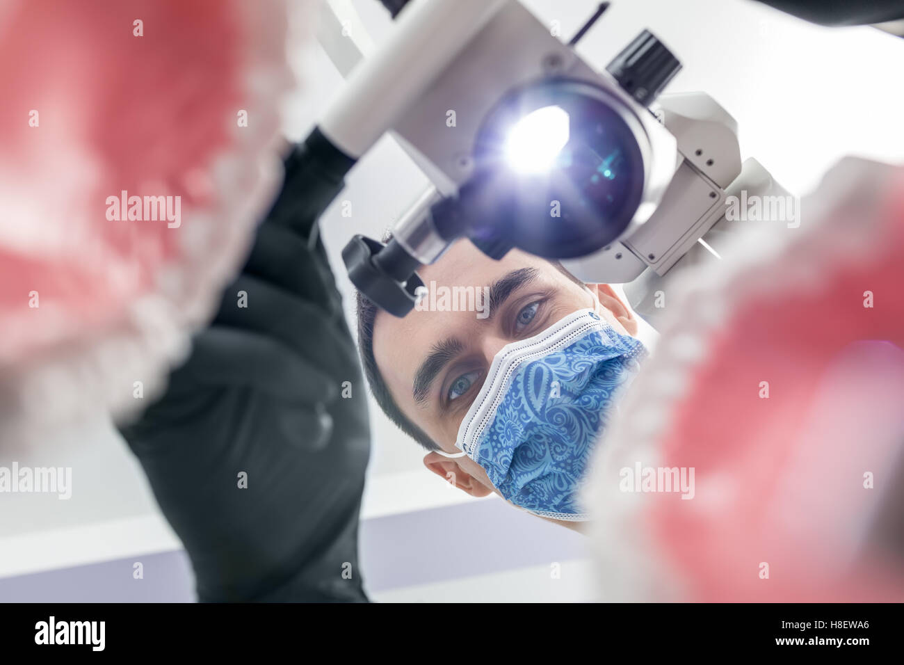 Dentist looks through jaw models Stock Photo - Alamy