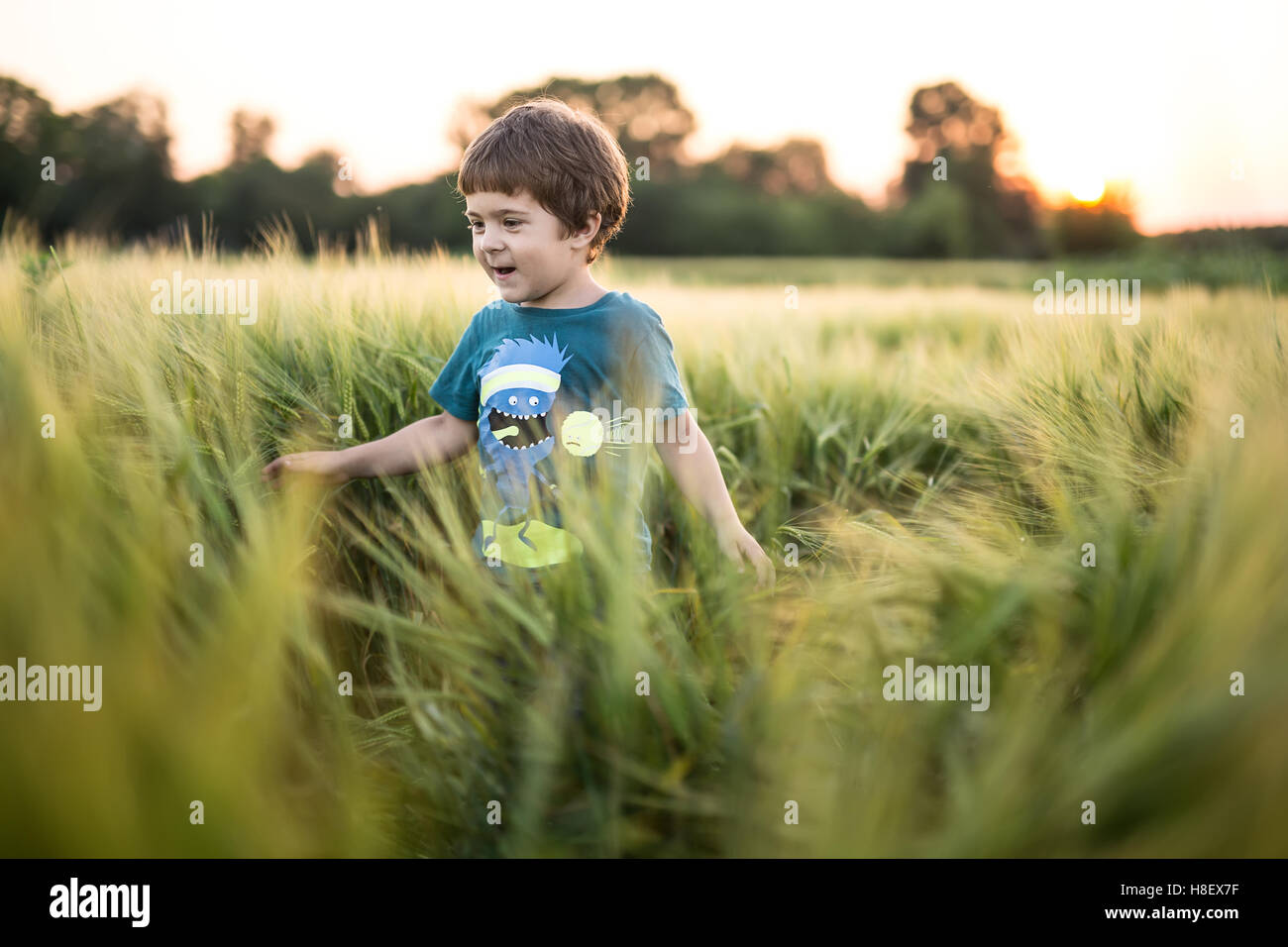 Child in rye field Stock Photo - Alamy