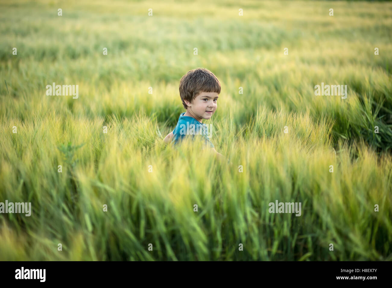 Child in rye field Stock Photo - Alamy