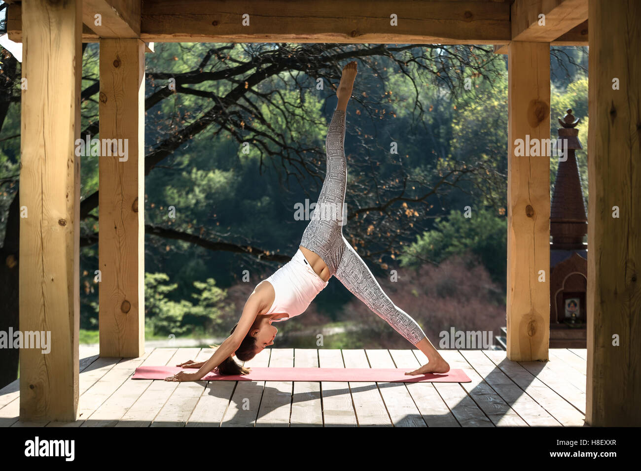 Downward facing dog pose with left leg up Stock Photo - Alamy