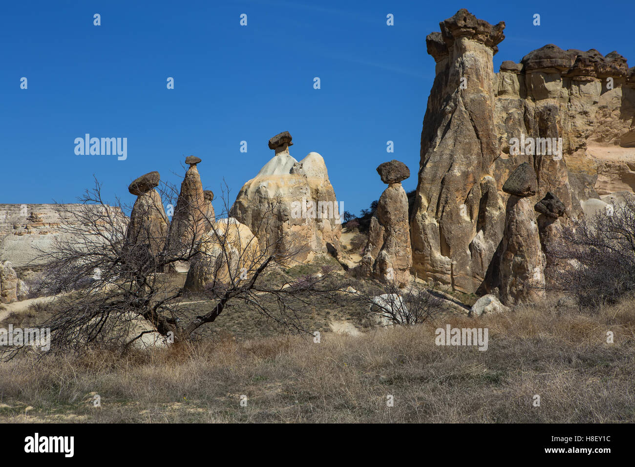 Fairy Chimneys rock formation Stock Photo - Alamy