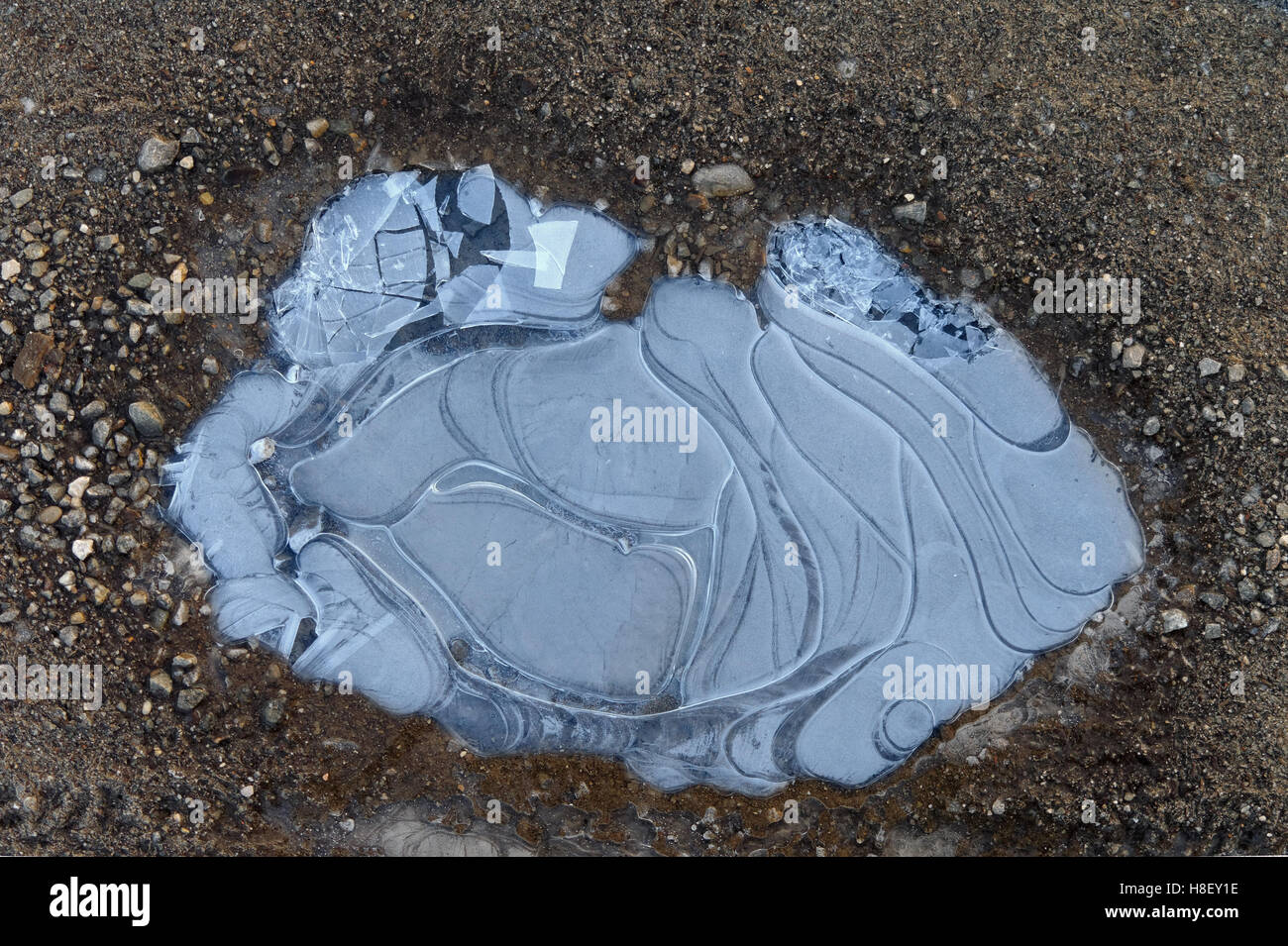 frozen puddle on the ground road, view from above Stock Photo - Alamy