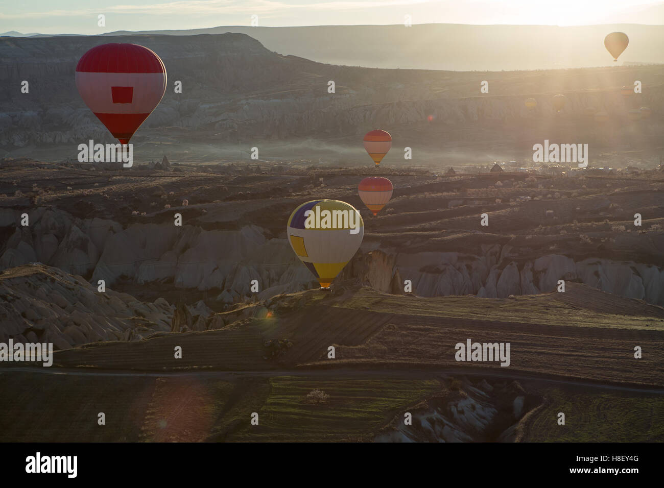 Air balloons above the valley Stock Photo - Alamy