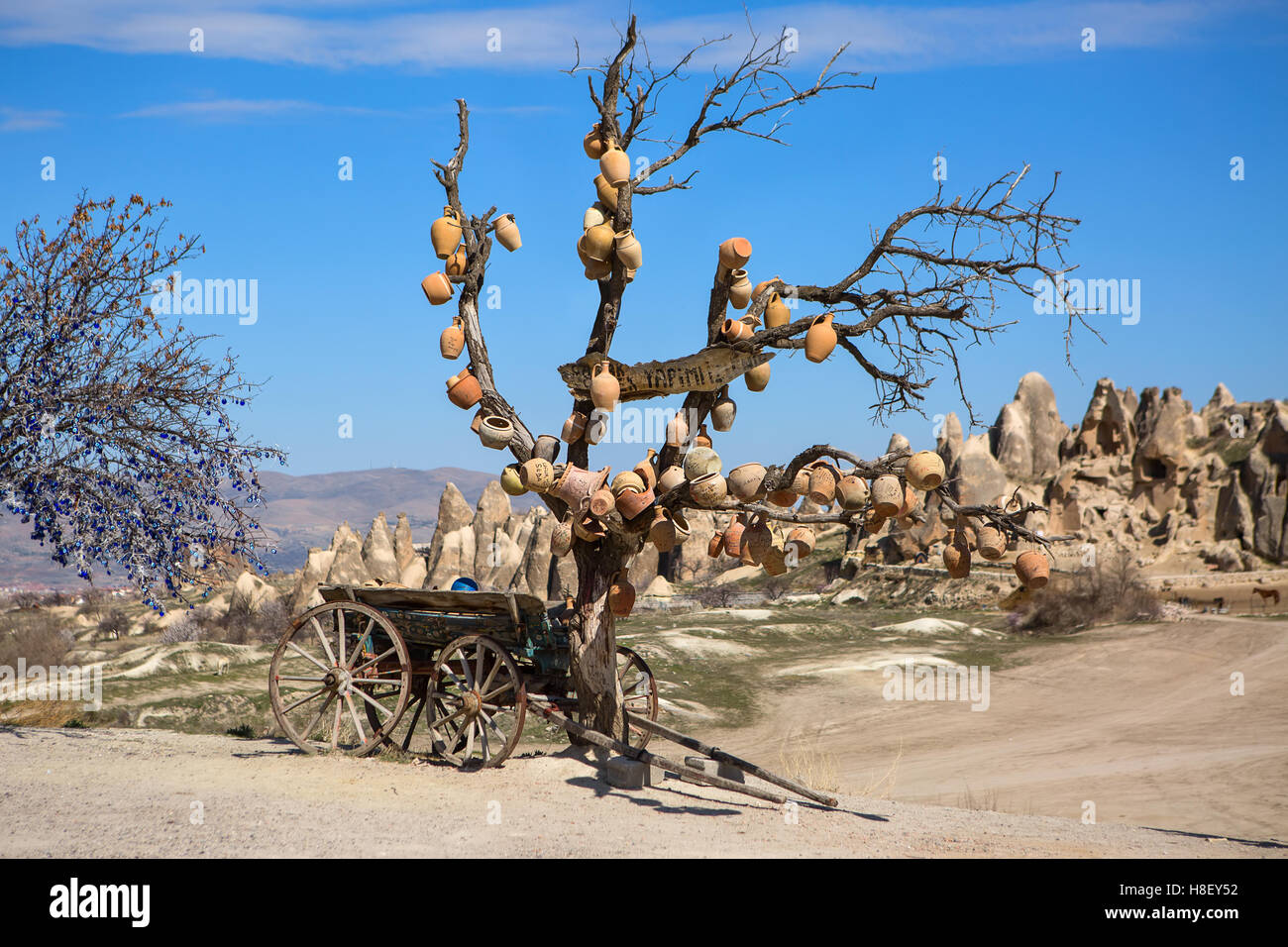 Tree with clay pots Stock Photo - Alamy