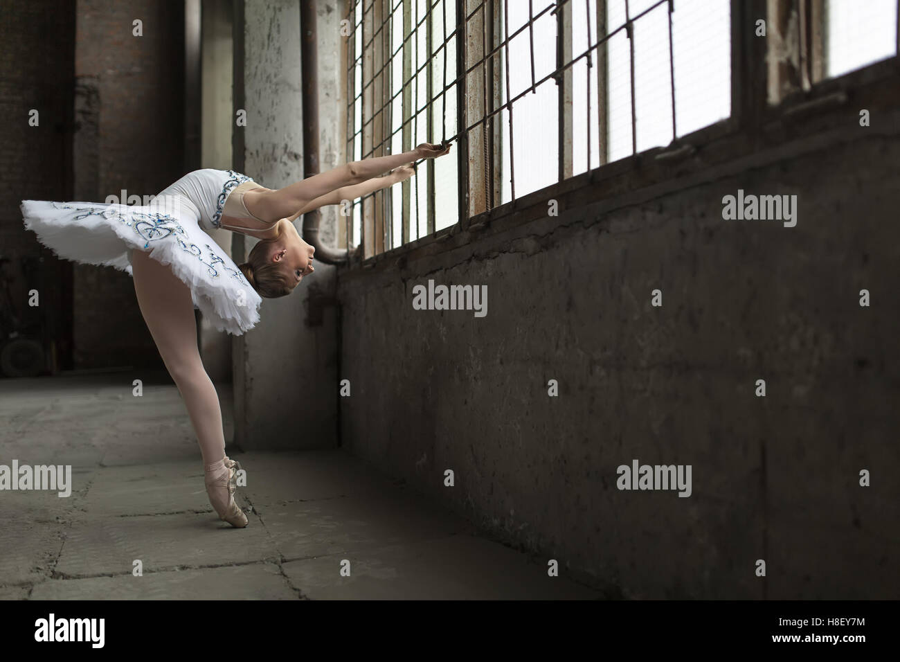 Gracefull allerina indoors Stock Photo - Alamy